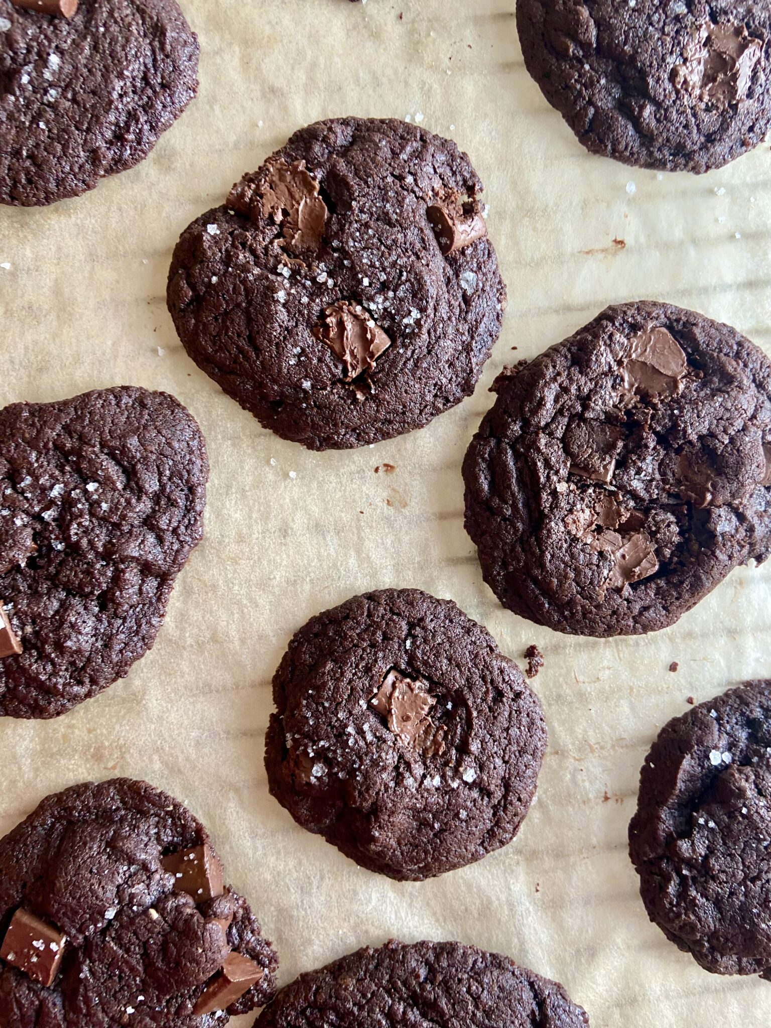 Yossy Arefi's Malted Chocolate Cookies · Dinner: A Love Story